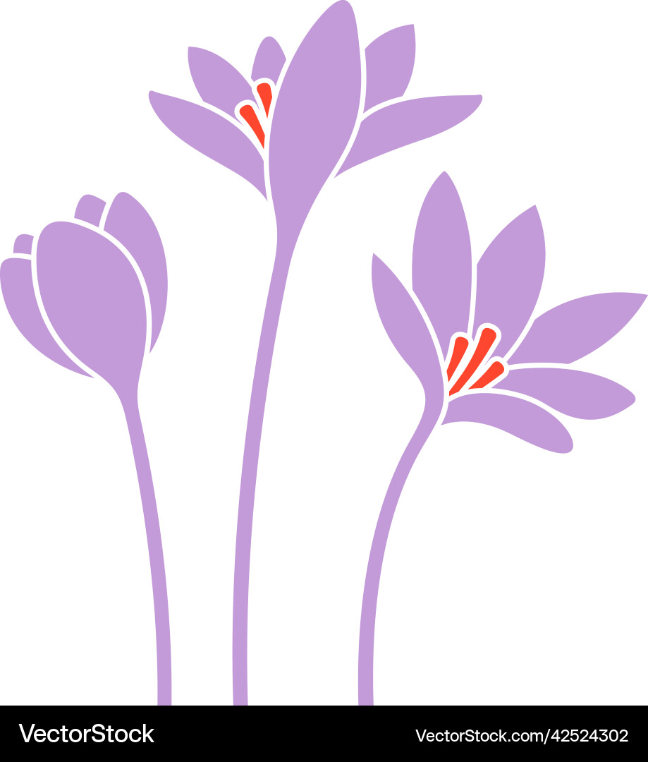 Safran Lizenzfreies Vektorbild - VectorStock