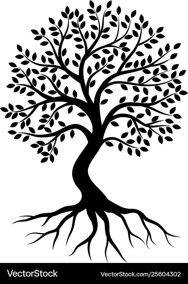 Tree Silhouette on White Royalty Free Vector Image