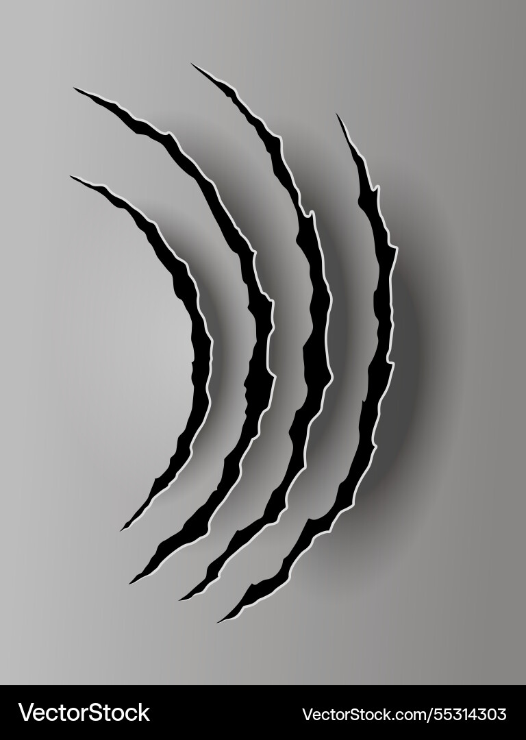 Bear or tiger claw mark scratches and torn traces Vector Image