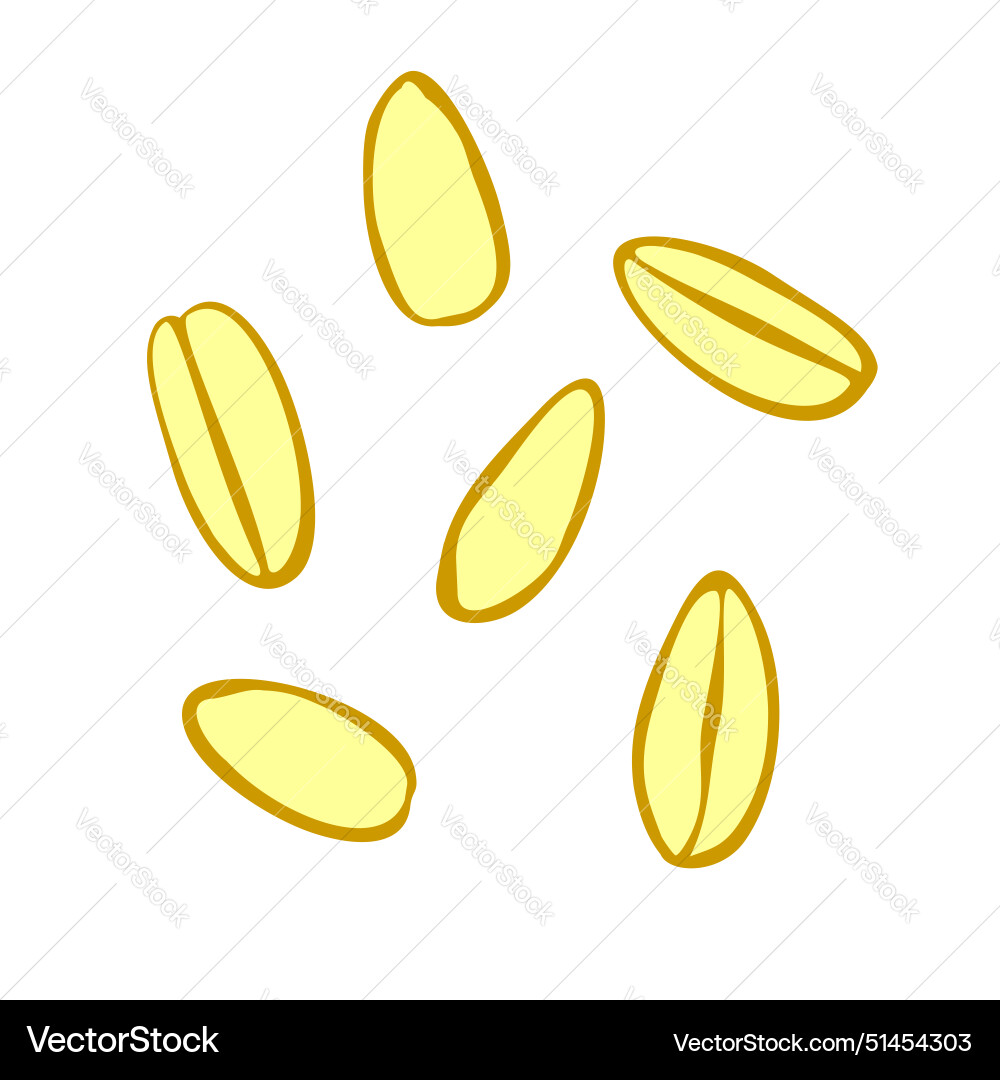 Contoured coffee beans scattered golden grains Vector Image