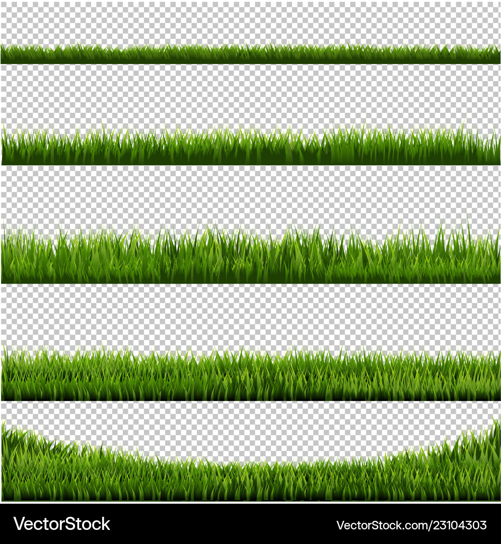 Green grass transparent background Royalty Free Vector Image