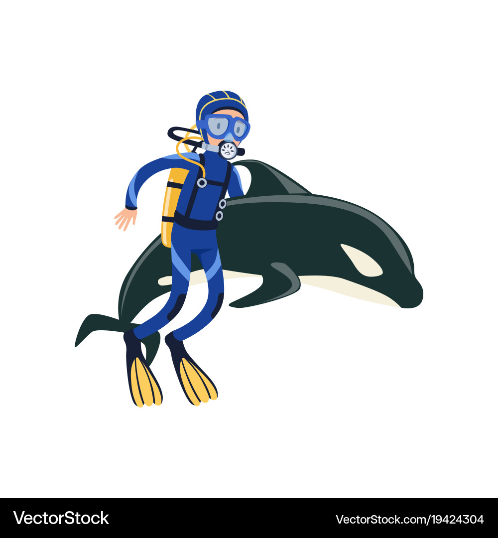 Scuba diver swimming with dolphin active summer Vector Image