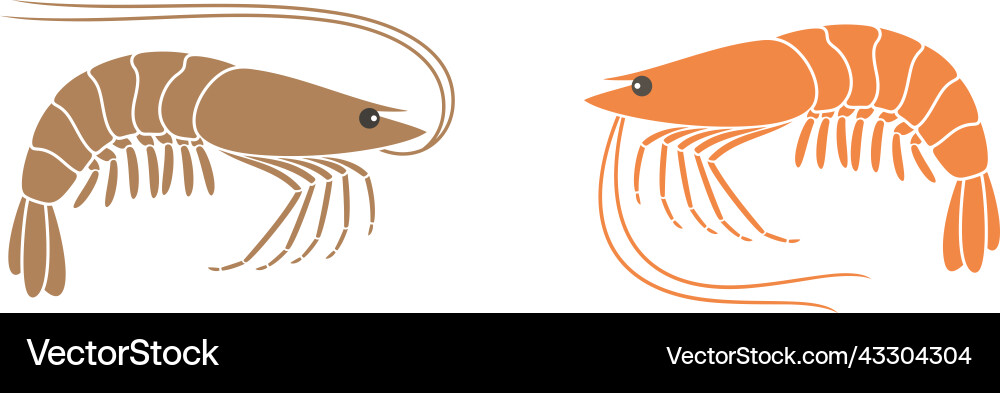 Shrimp Royalty Free Vector Image - VectorStock