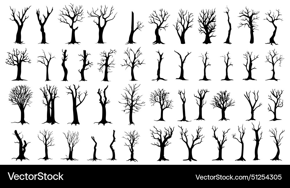 Bare trees silhouettes set outline forest Vector Image