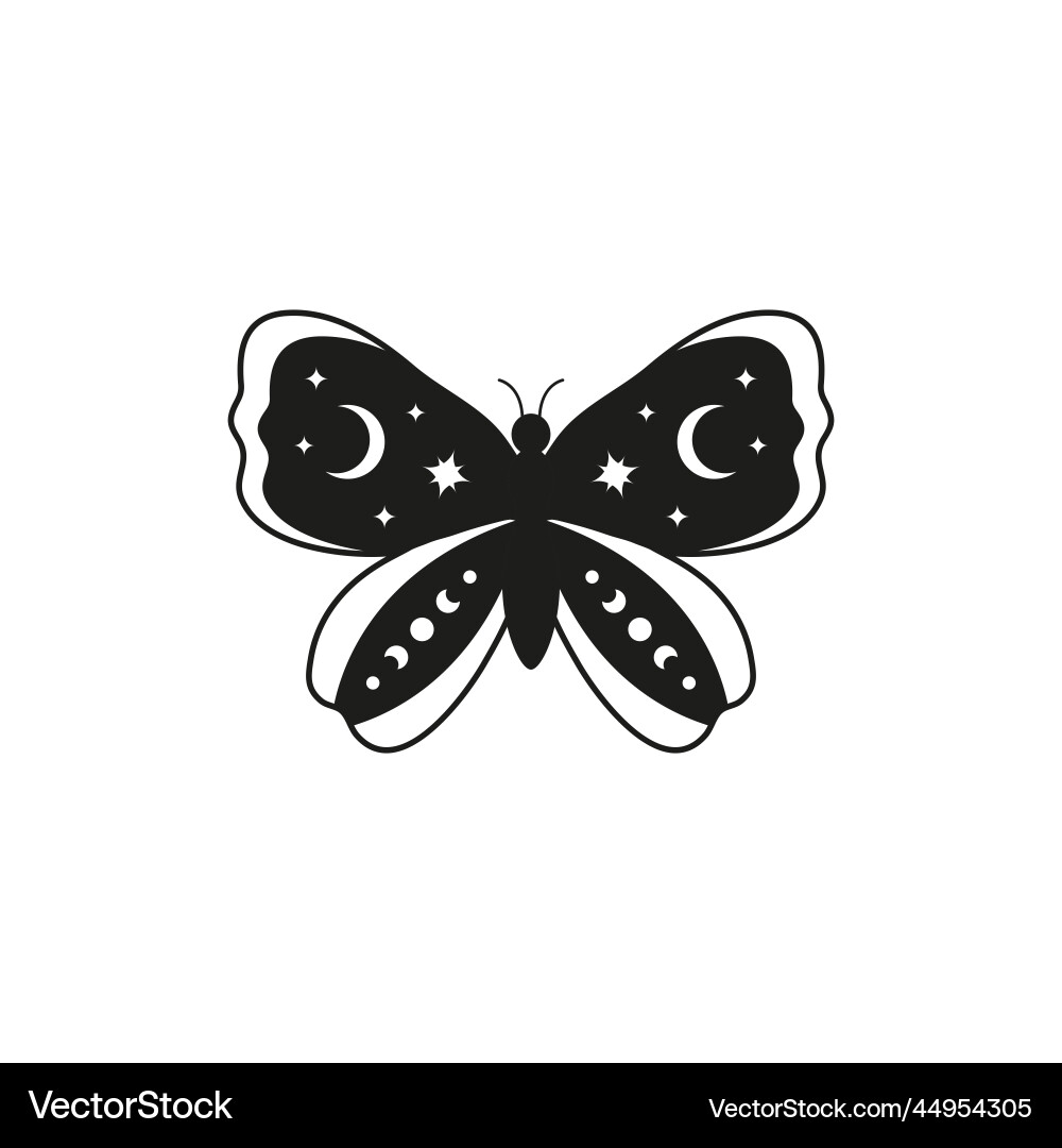 Hand drawn celestial butterfly with stars Vector Image