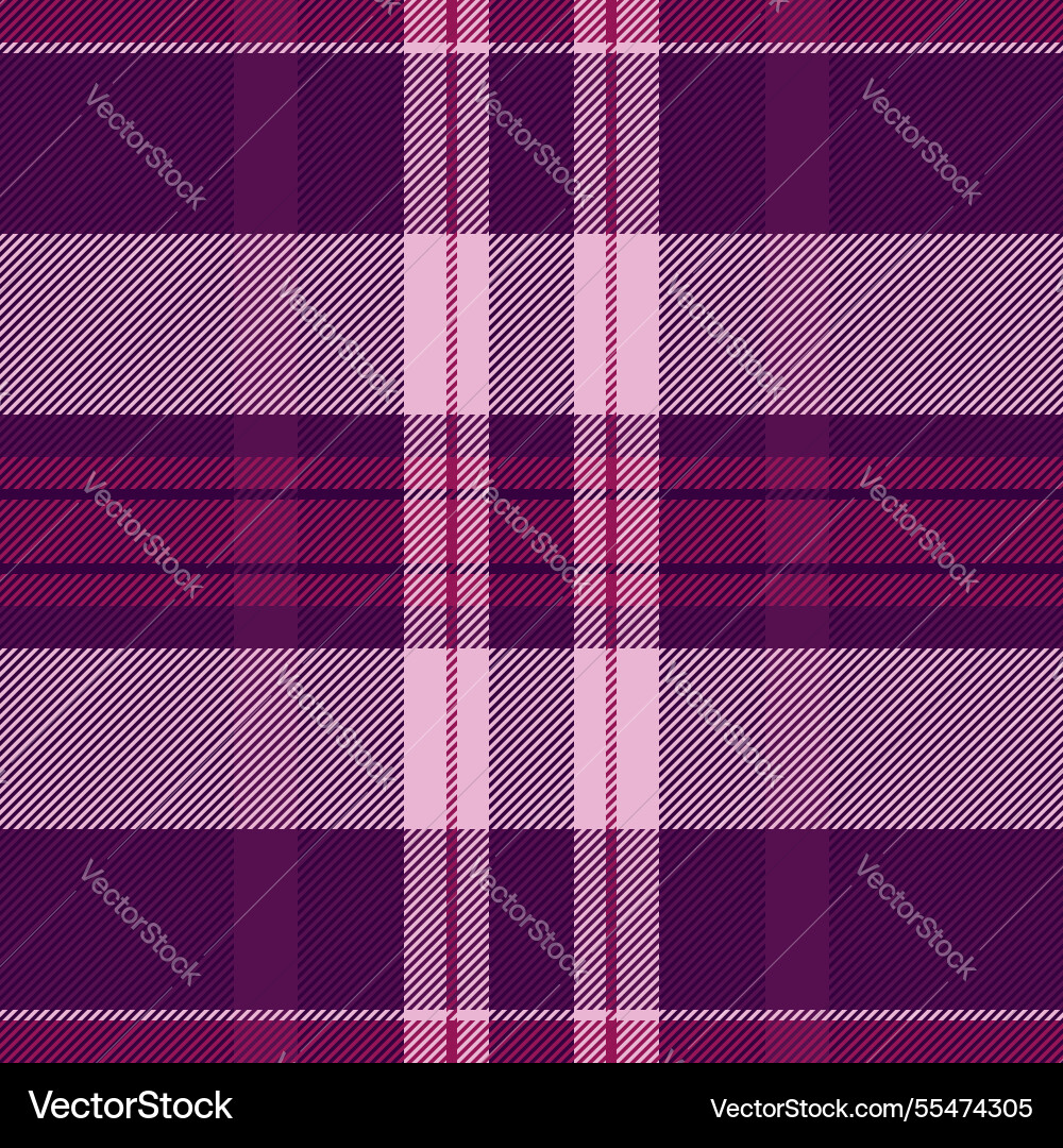 Screen textile seamless female plaid fabric Vector Image