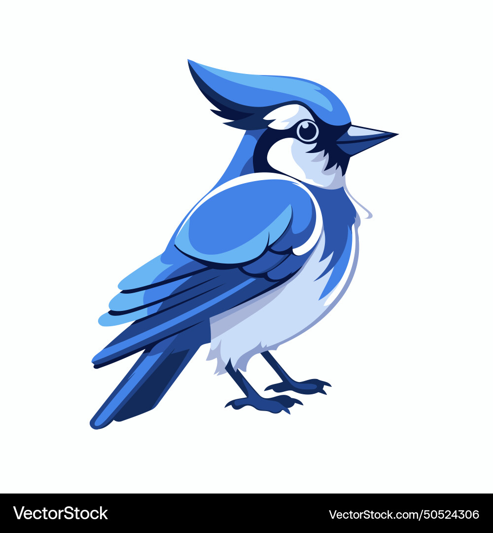 Cute blue jay bird cartoon isolated on a white Vector Image