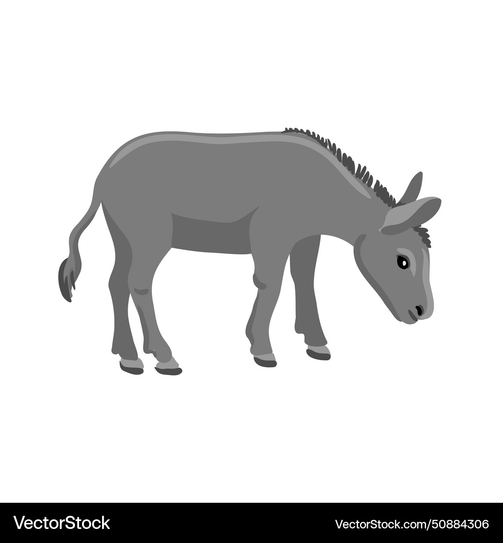 Drawing grey donkey Royalty Free Vector Image - VectorStock