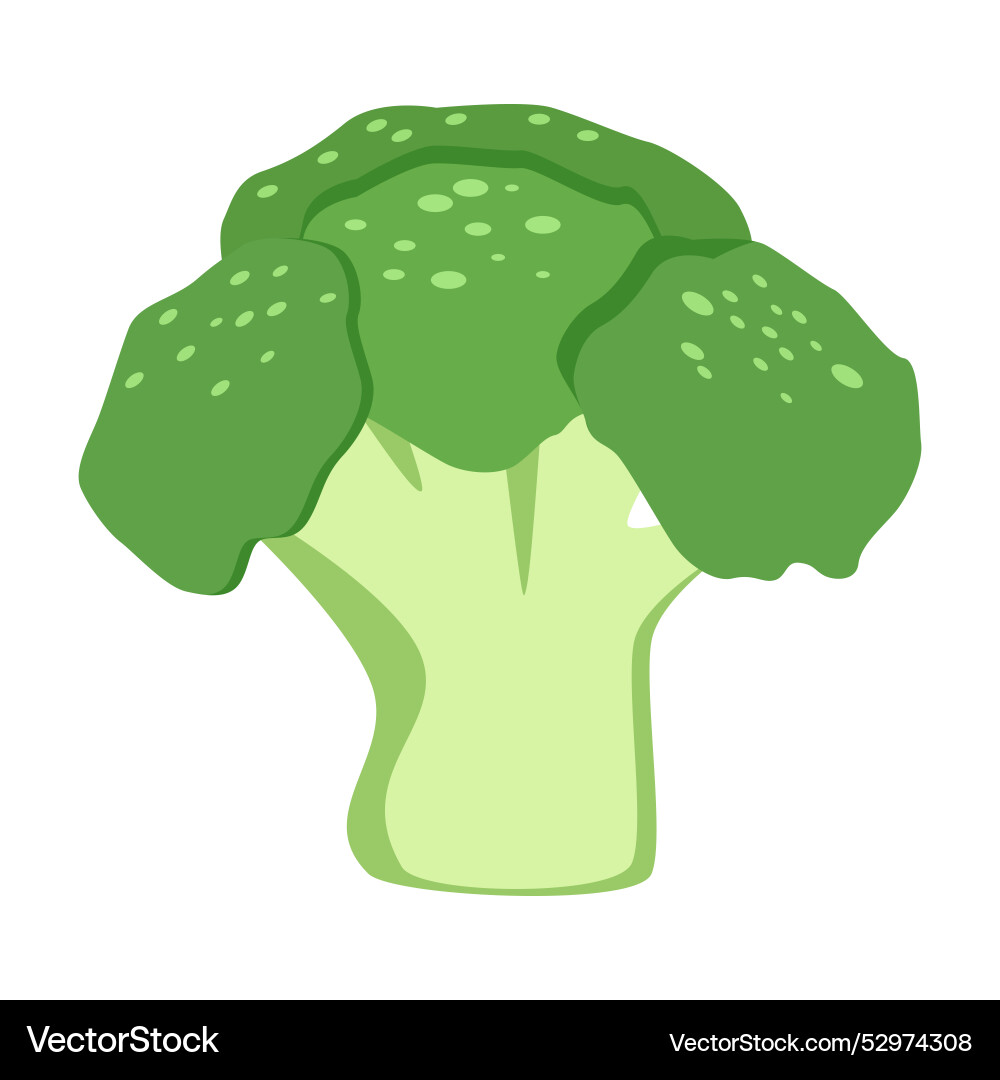 Broccoli Royalty Free Vector Image - VectorStock