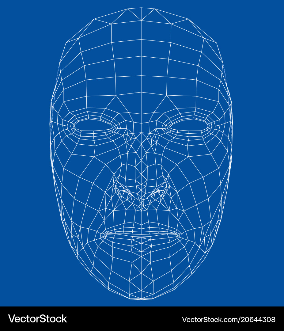 Wireframe Human Face Recognition Royalty Free Vector Image