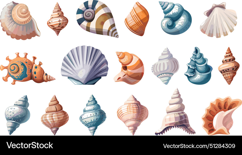 Cartoon colorful seashell assortment set Vector Image