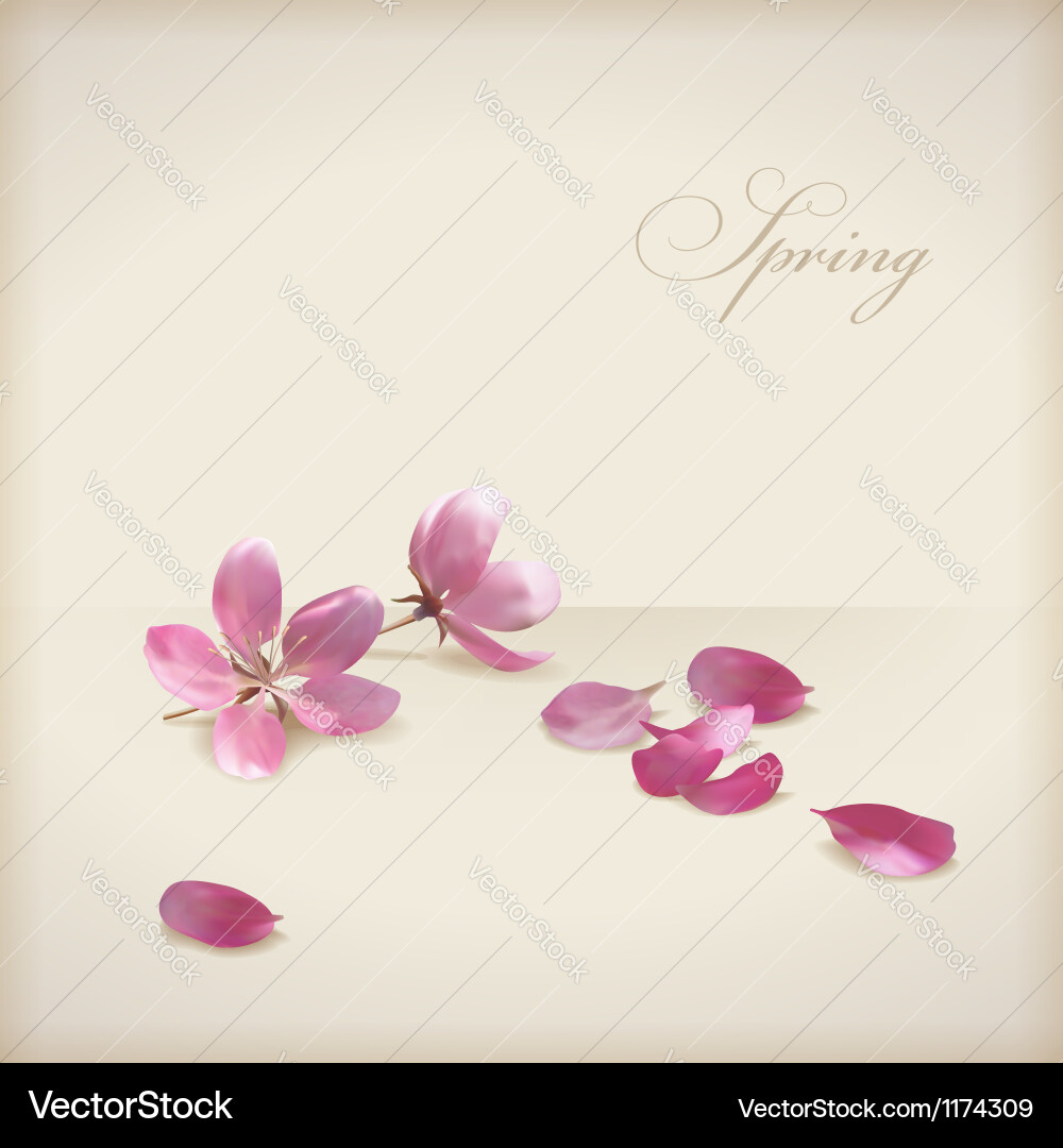Cherry Blossom Text Vector Images (over 1,200)
