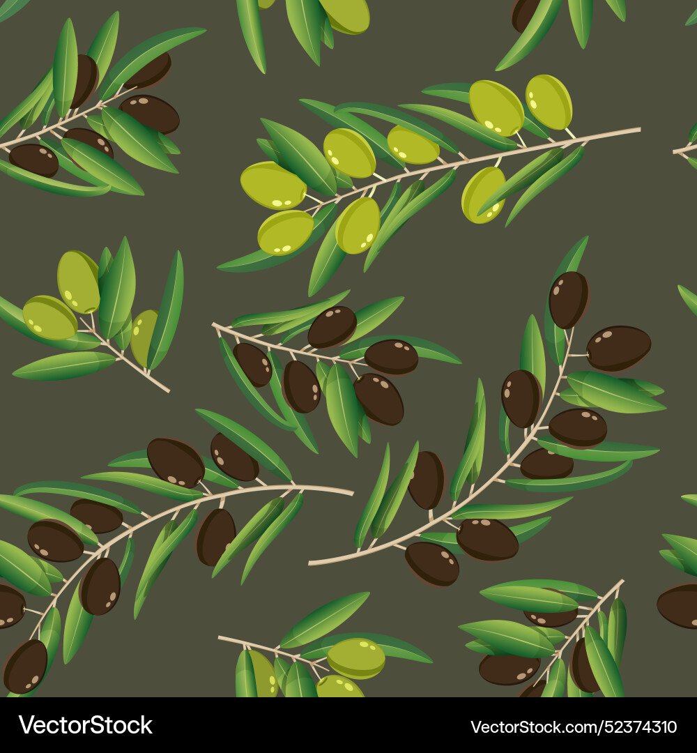 Olives seamless pattern vintage background Vector Image