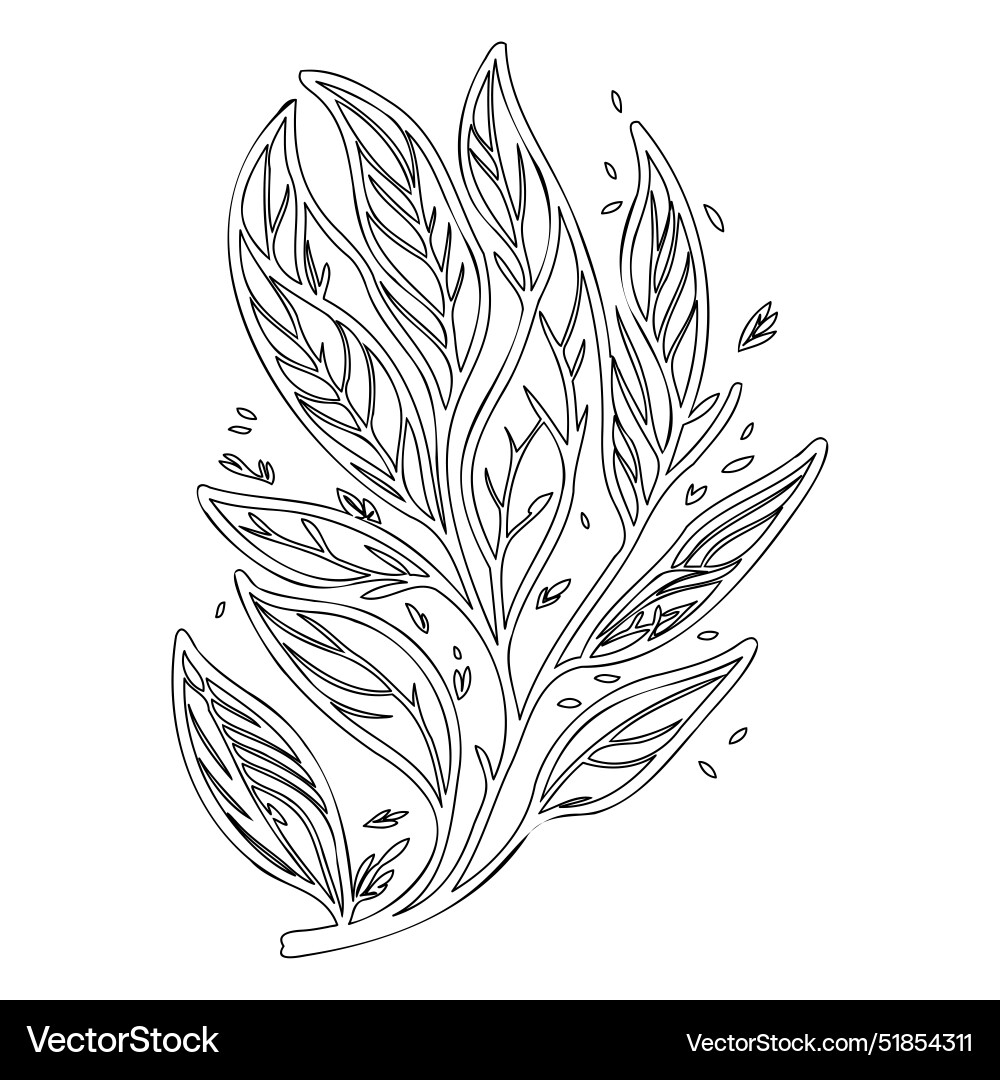 Ash Leaf Outline Ash Leaf Drawing Png PSD, High Quality Free PSD