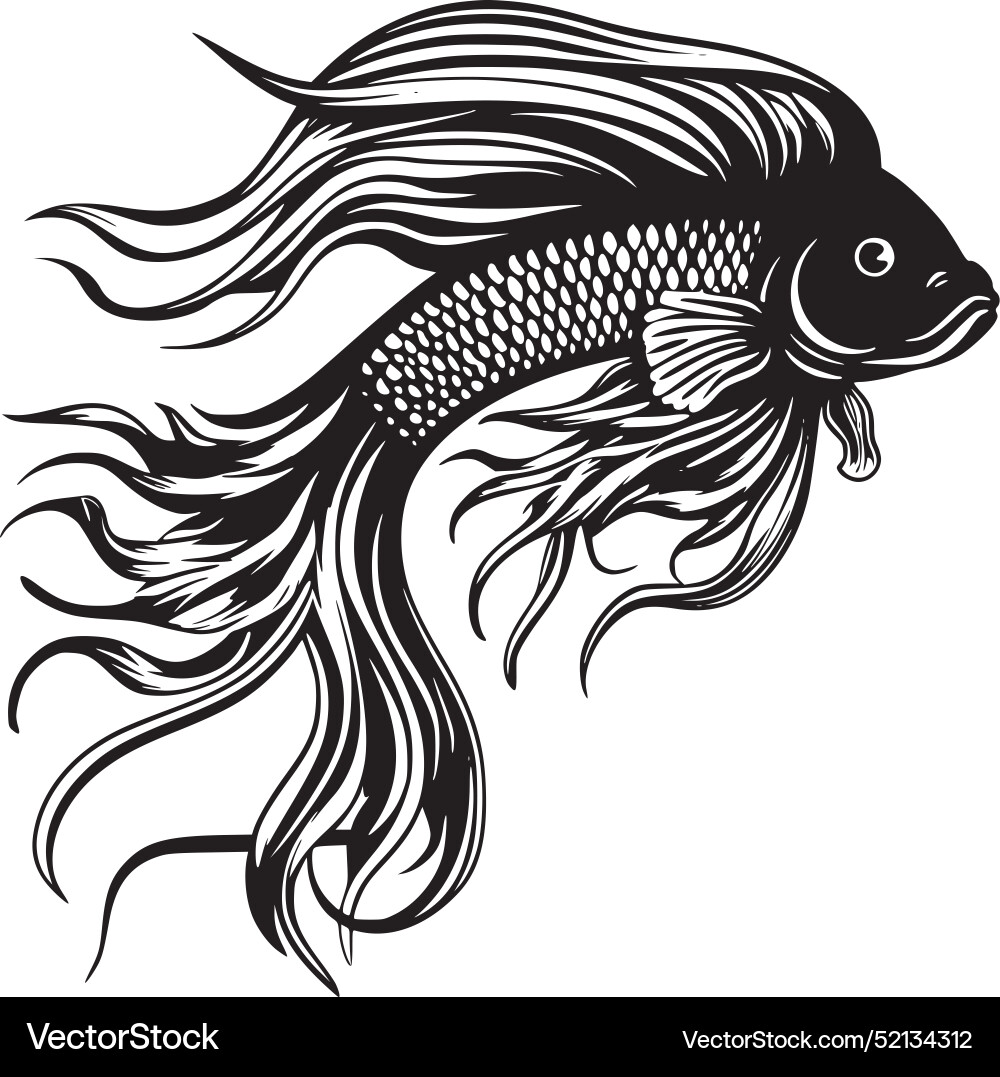Betta fish - black and white isolated icon Vector Image