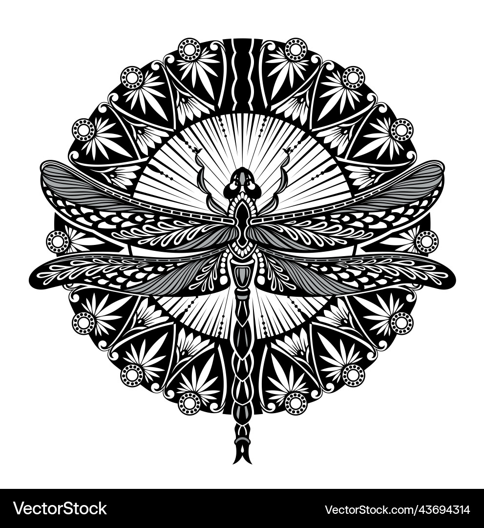 Dragonfly Royalty Free Vector Image - VectorStock
