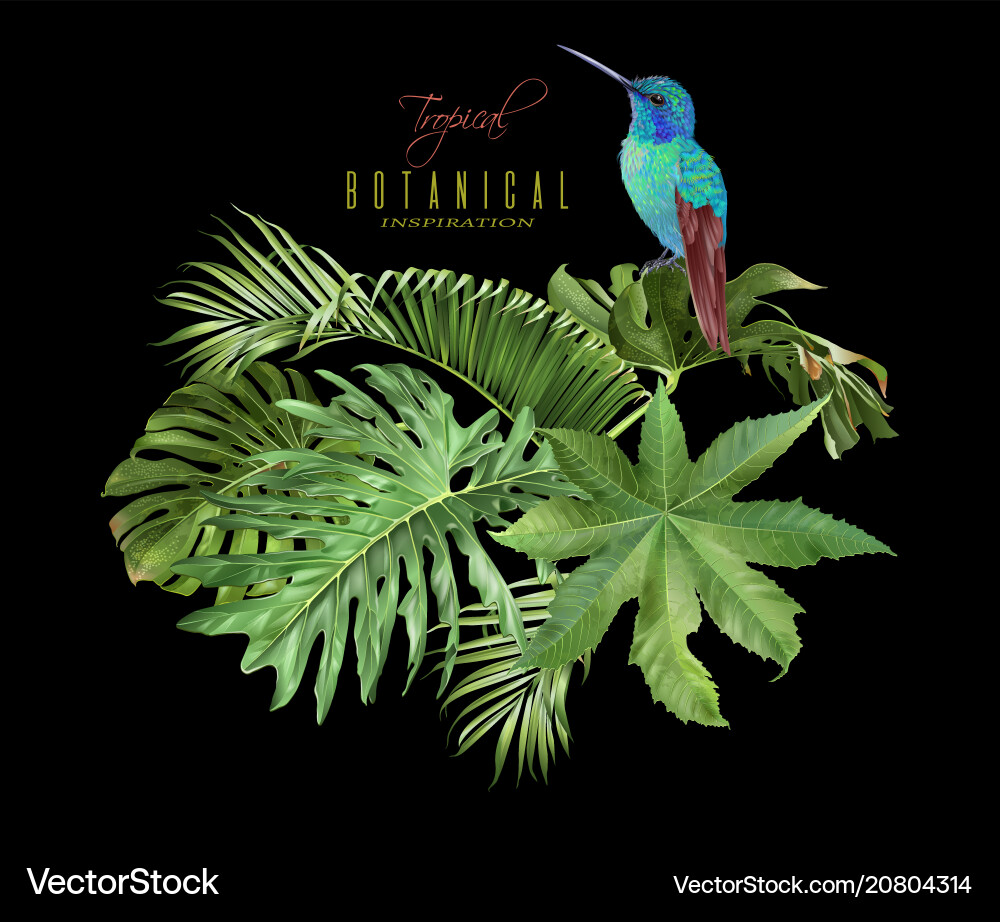 Tropical Hummingbird Arrangement Royalty Free Vector Image