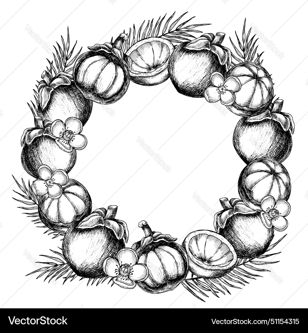 Mangosteen round frame Royalty Free Vector Image