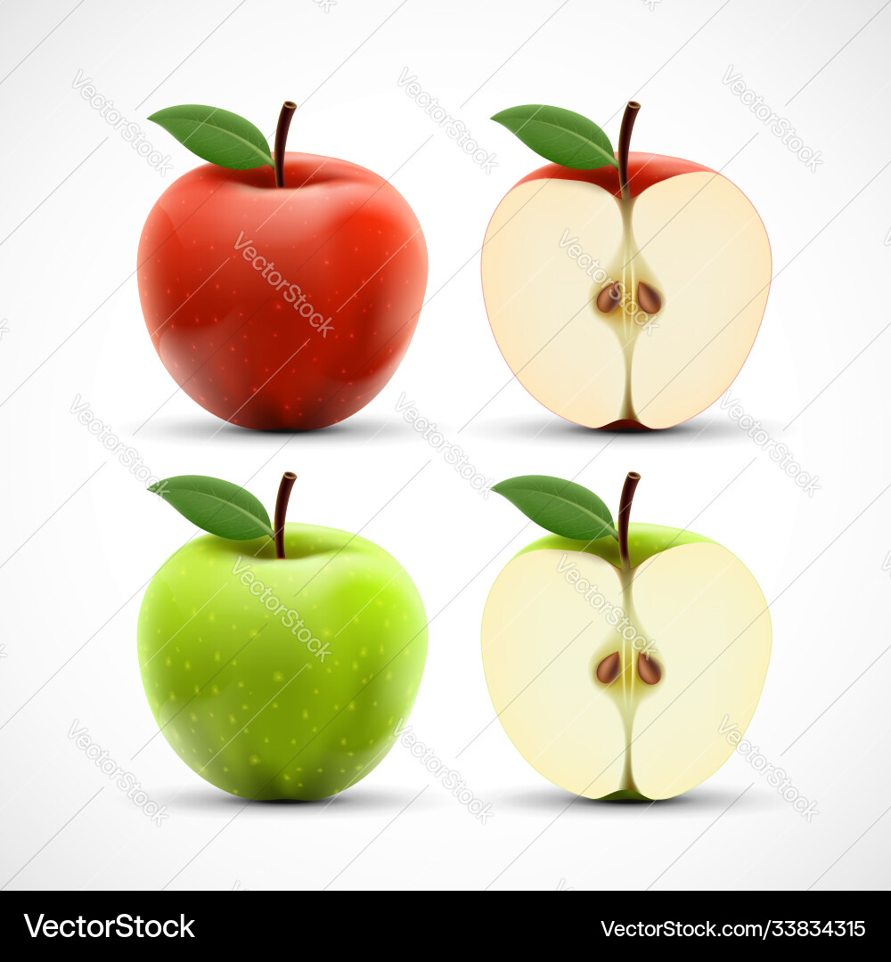 Red and green apples isolated on white background Vector Image