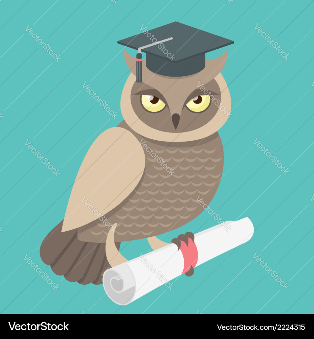 Wise owl Royalty Free Vector Image - VectorStock