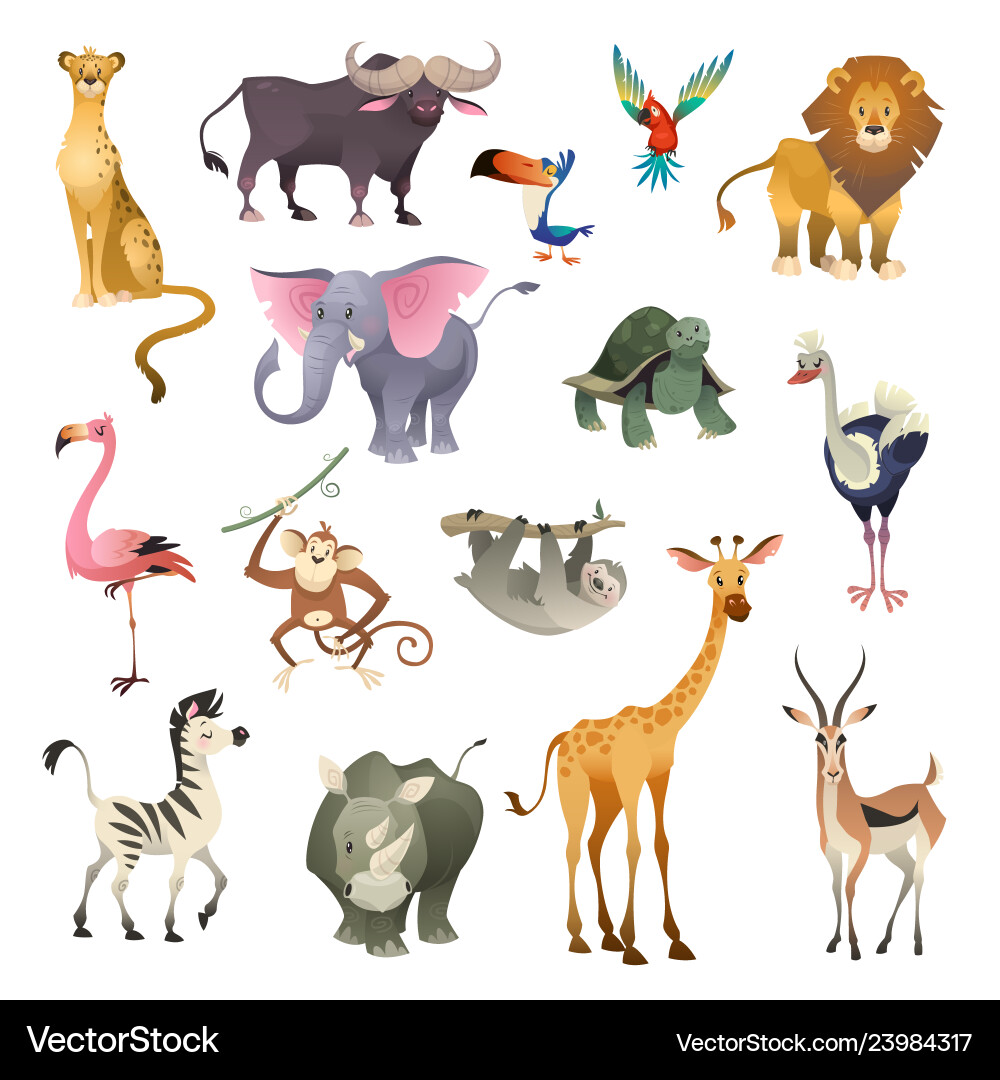 Zoo Jungle Safari Animals Clipart Illustrations