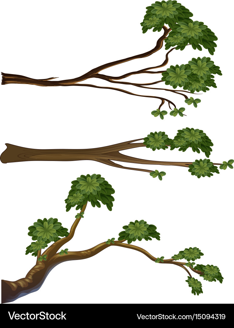 Different shapes of branches Royalty Free Vector Image