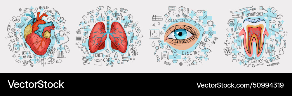 Four depicting human organs Royalty Free Vector Image