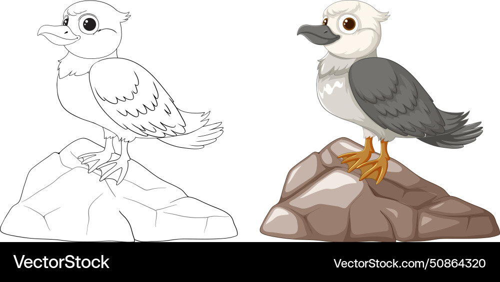 A bird on rock Royalty Free Vector Image - VectorStock