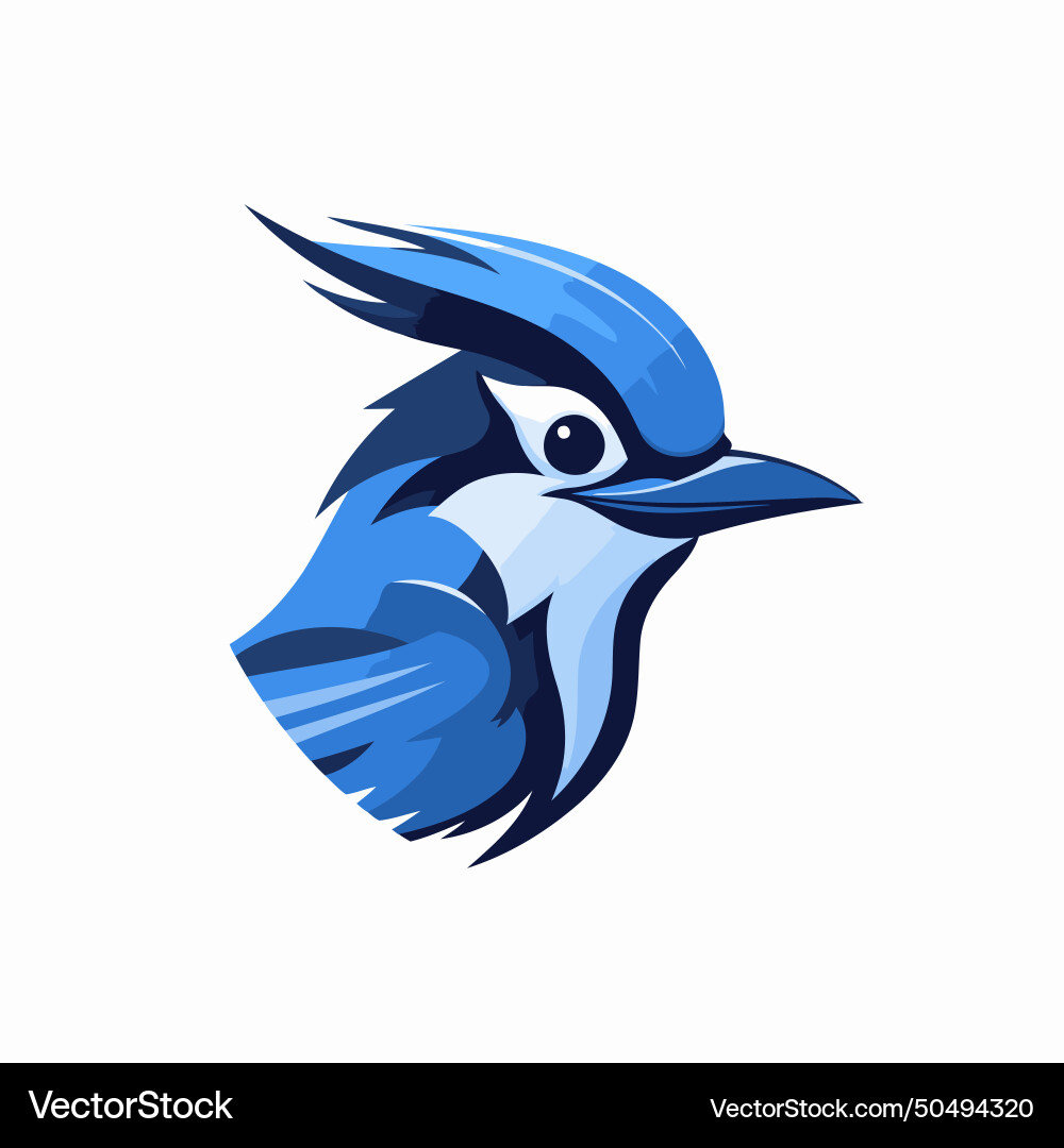 Blue jay bird head isolated on white background Vector Image