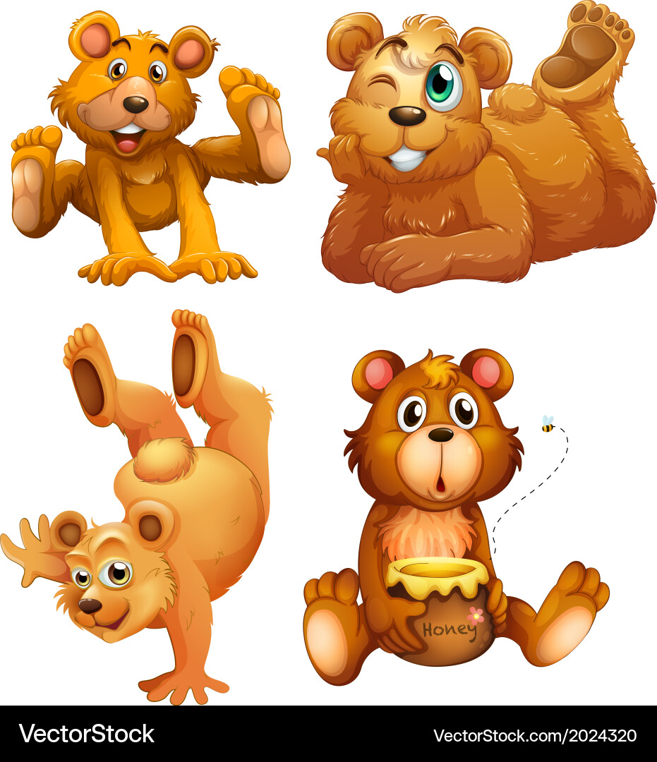 Four playful brown bears Royalty Free Vector Image
