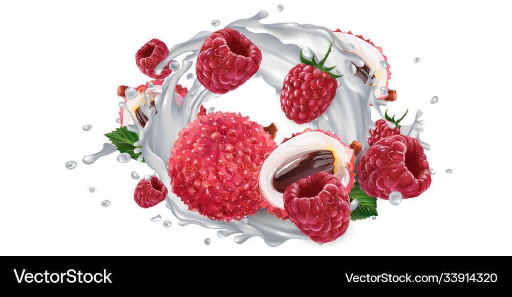 Lychee and raspberries a splash milk Royalty Free Vector
