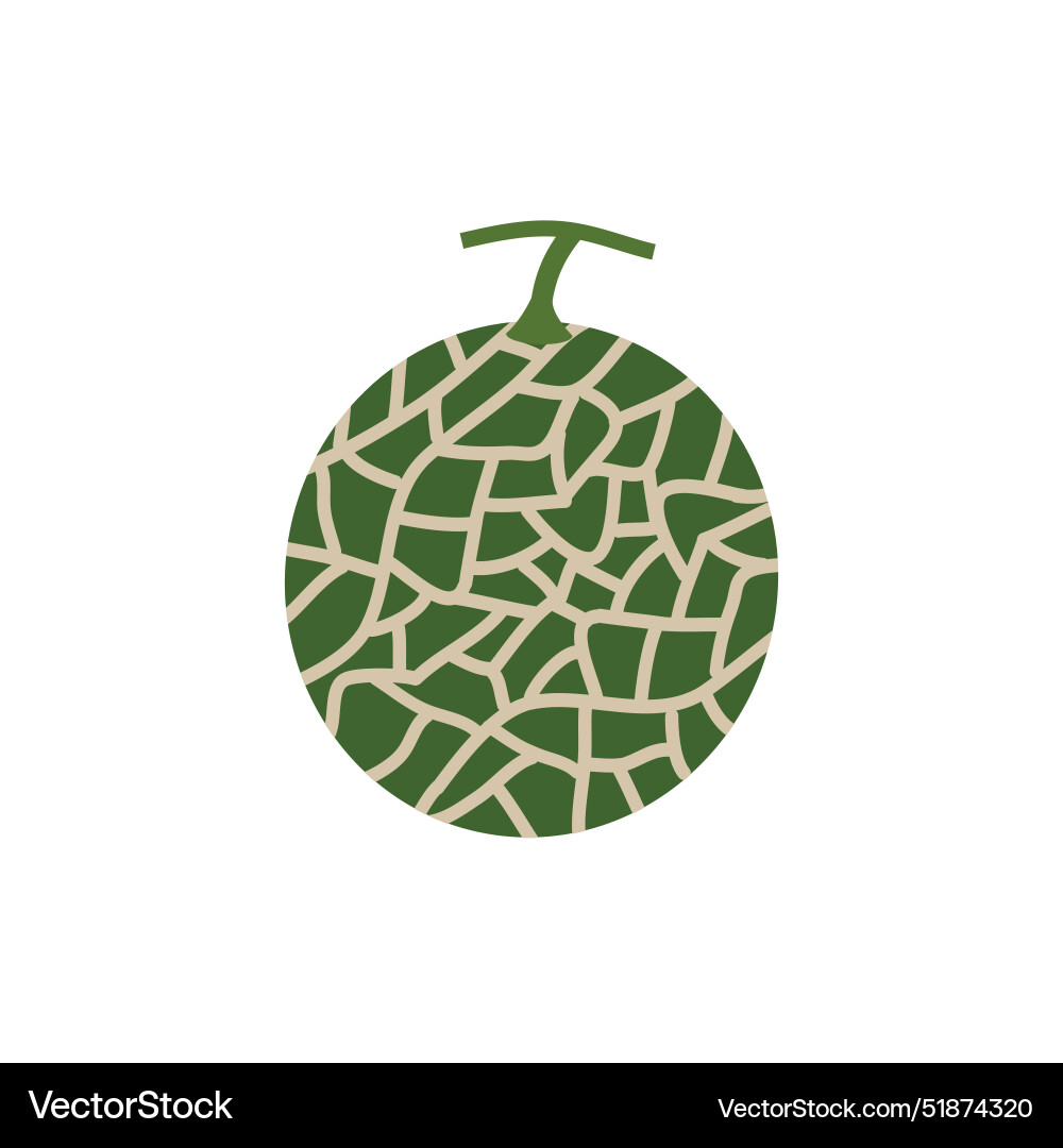 Melon on white background Royalty Free Vector Image