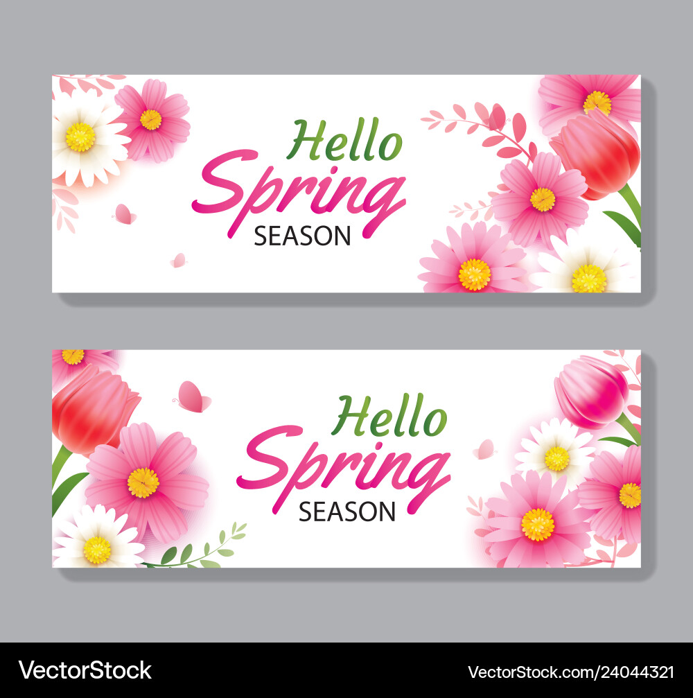 Hello spring greeting card and invitation Vector Image
