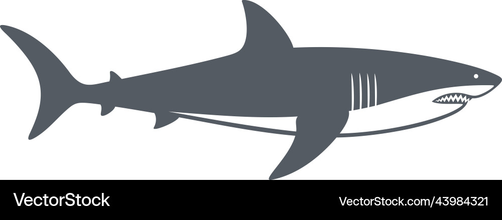 Shark Royalty Free Vector Image - VectorStock