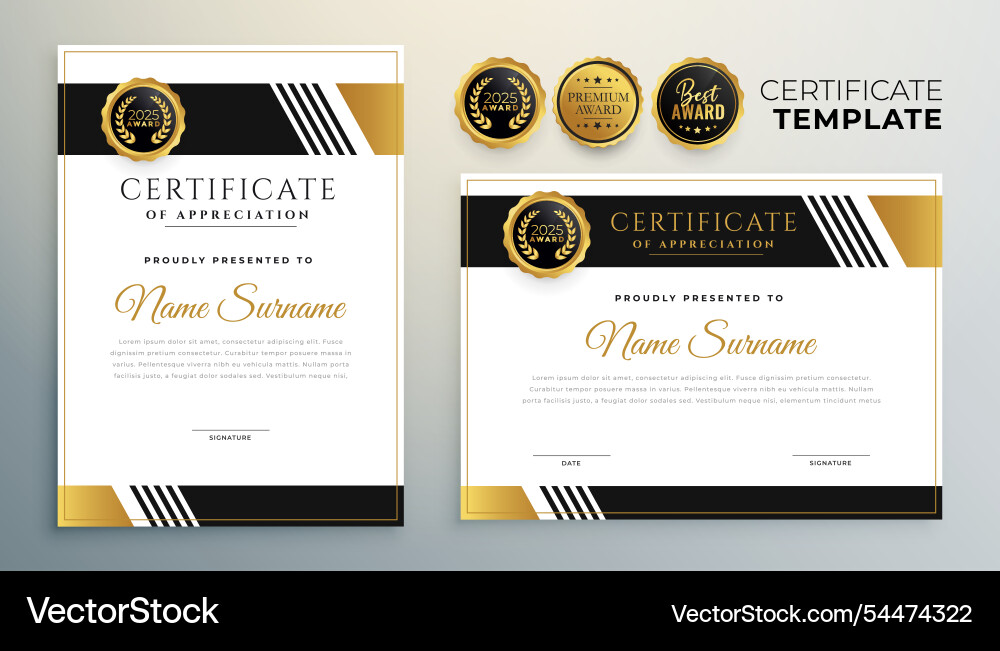Internship inspiring certificate of appreciation Vector Image