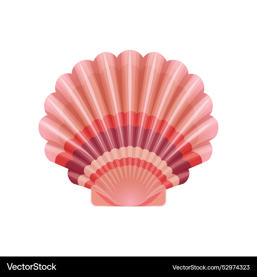 A pink fan-shaped seashell Royalty Free Vector Image
