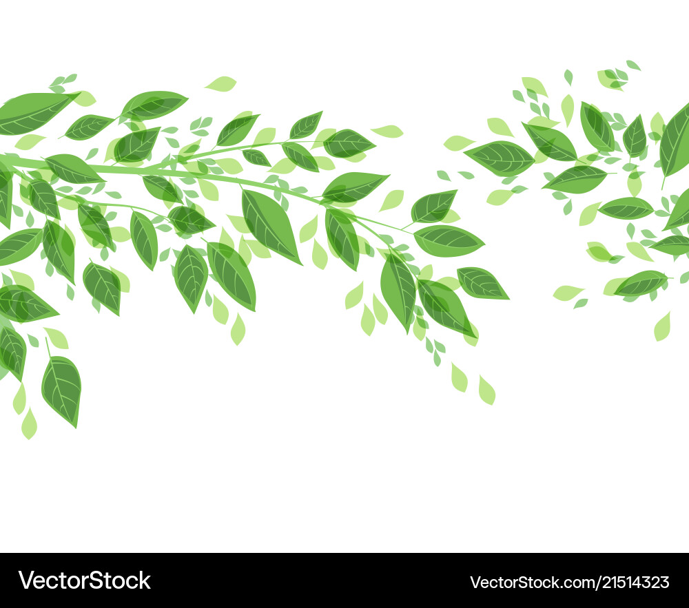 Green tree leaves Royalty Free Vector Image - VectorStock