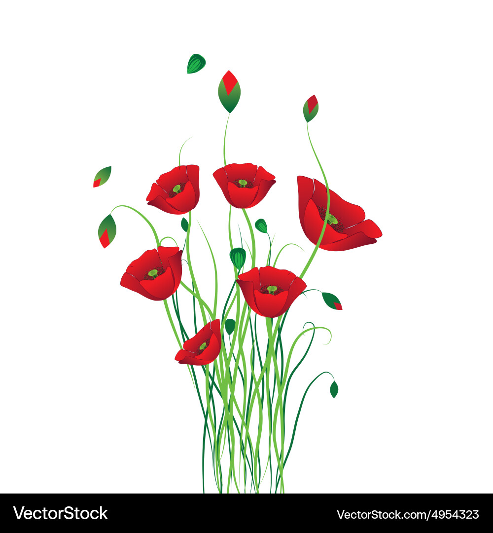 Poppy background Royalty Free Vector Image - VectorStock