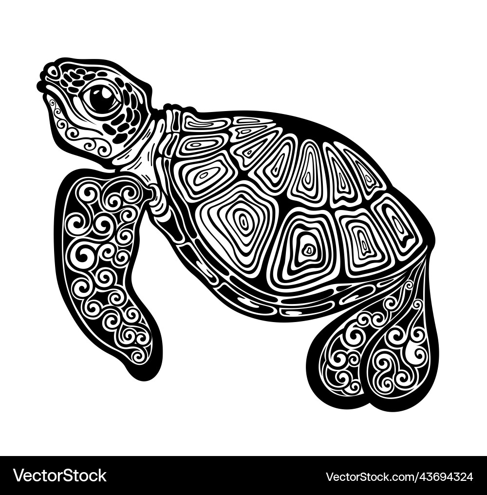 Funny turtle Royalty Free Vector Image - VectorStock