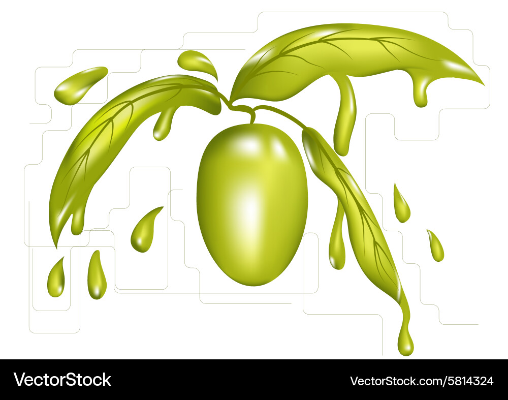 Olive Oil Drops Royalty Free Vector Image - VectorStock