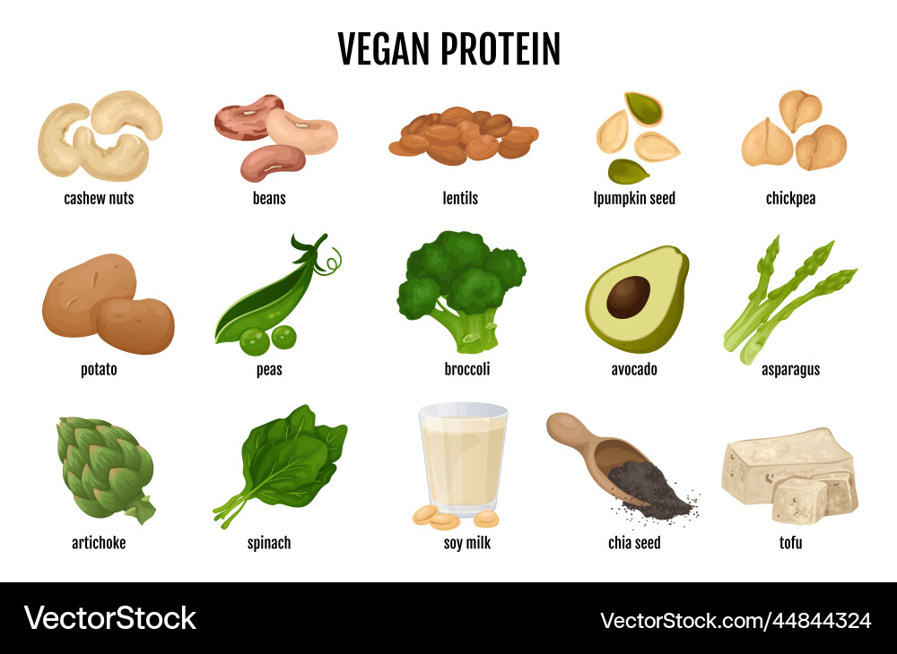 Vegan protein food set Royalty Free Vector Image
