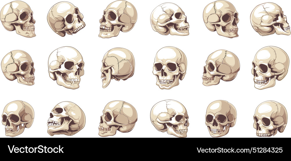 Cartoon skulls icon set in simple flat style from Vector Image