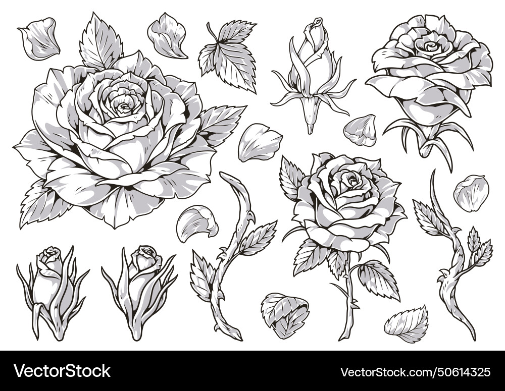 Flower rose monochrome set emblems Royalty Free Vector Image