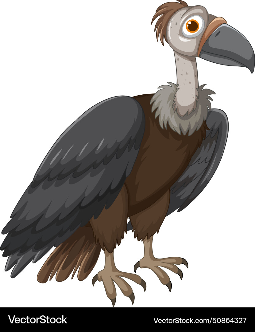 A cartoon vulture character Royalty Free Vector Image