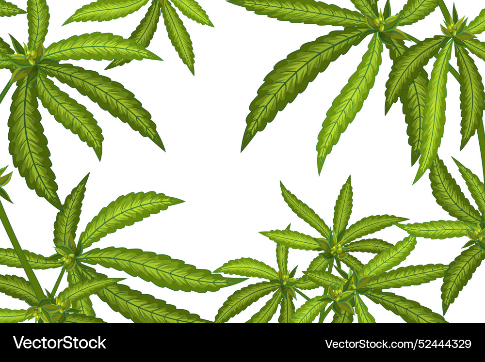 Botanical marijuana leaf background Royalty Free Vector