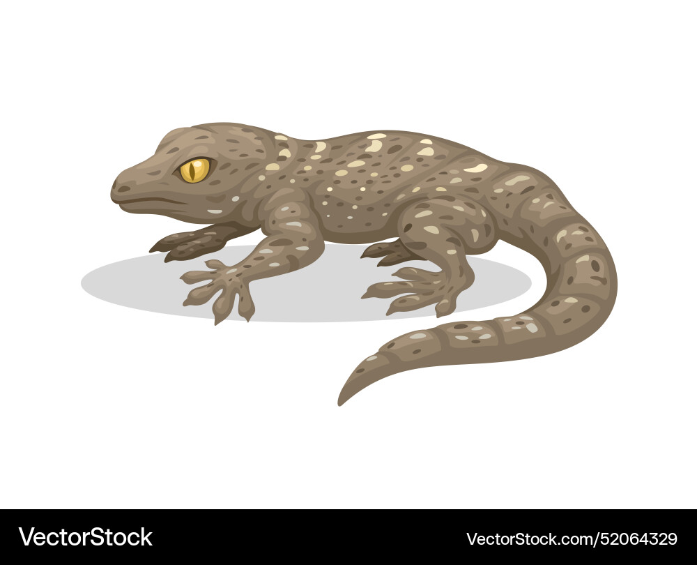 Gecko exotic animal cartoon Royalty Free Vector Image