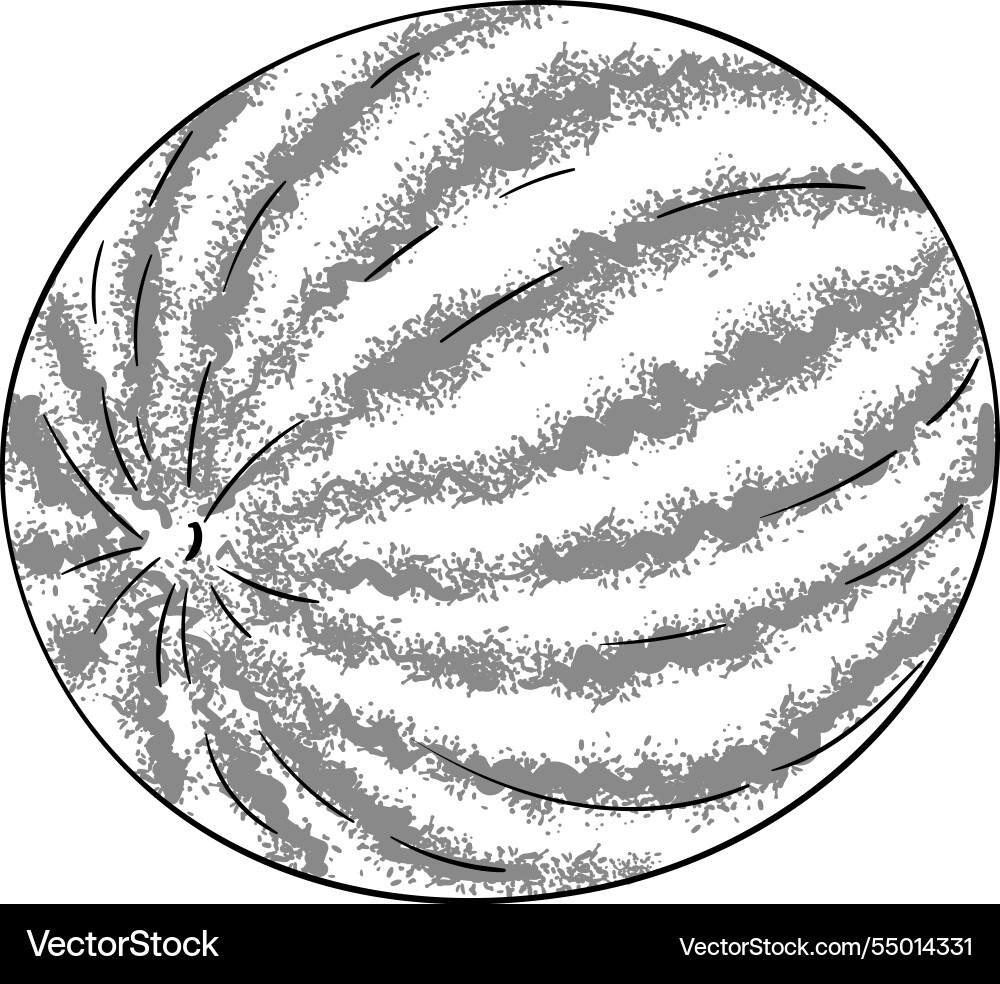 Isolated Watermelon Outline Royalty Free Vector Image