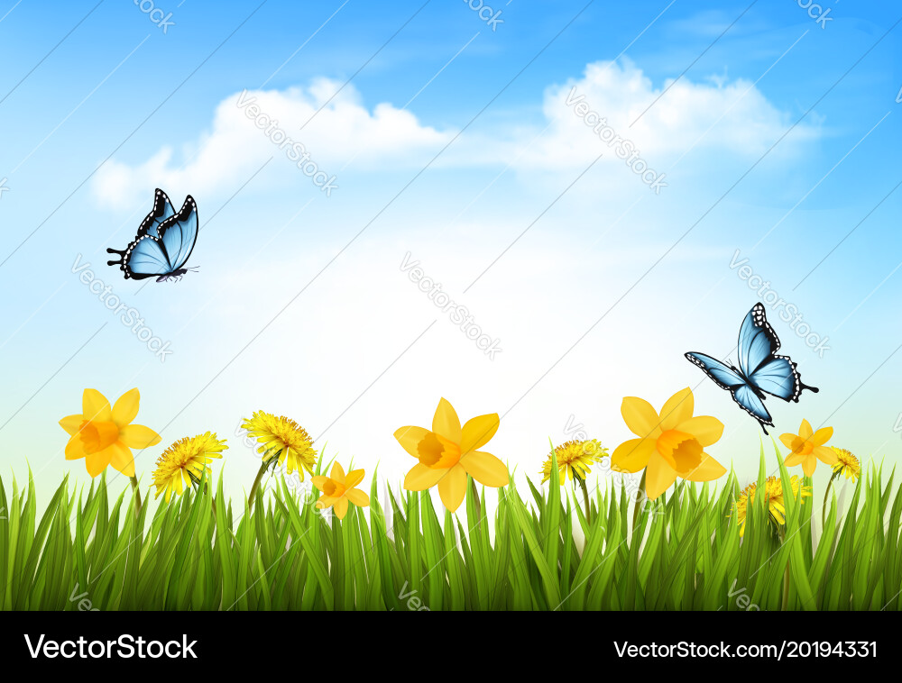 Spring nature background with green grass flowers Vector Image