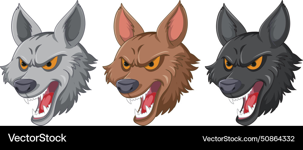 Three animated wolves showing aggressive Vector Image