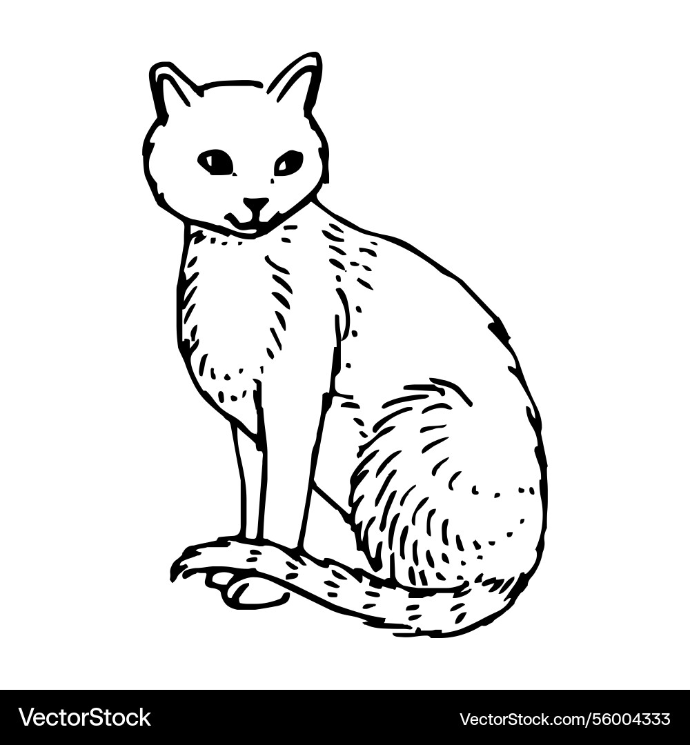Elegant sitting cat Royalty Free Vector Image - VectorStock